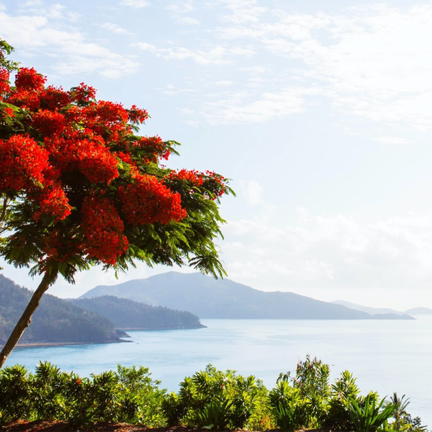 Nicky Oatley I Hamilton Island – The Raconteur